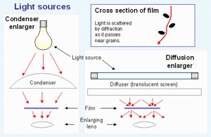 3. Evaluation of light availability